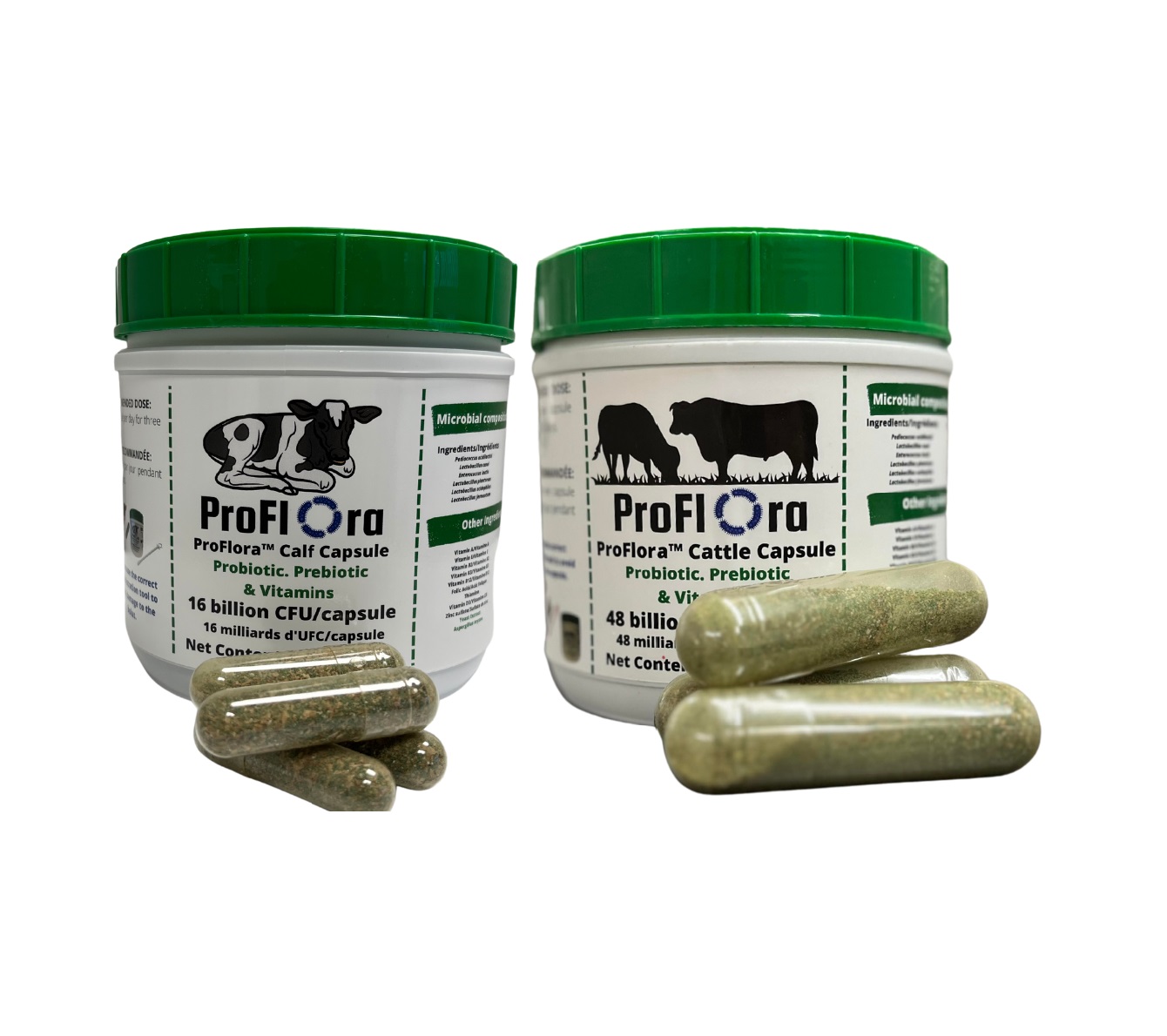 Oxford Bovine – Veterinary Professional Corporation